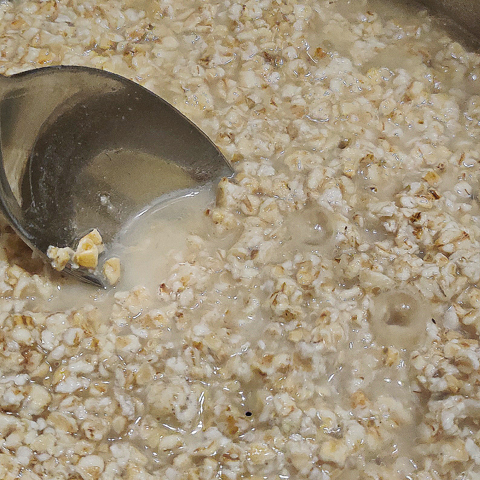 Protein Oats – The ultimate anabolic food – Botanical Barbells